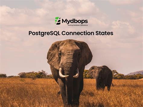 Learn About Postgresql Connection States Mydbops Posted On The Topic