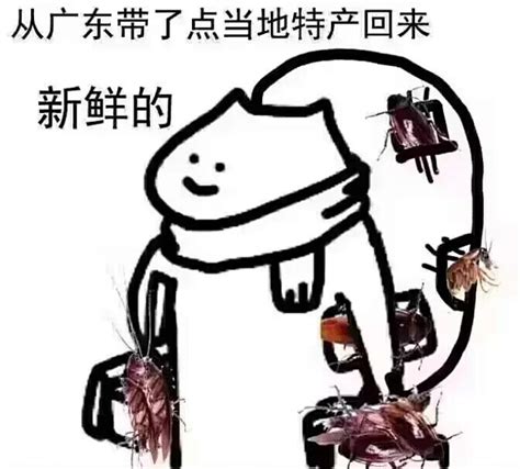 春节串门，蟑螂，什么猫表情包