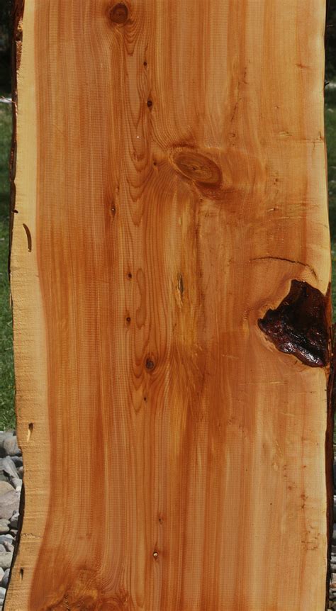 Rustic Juniper Live Edge Slab Cook Woods