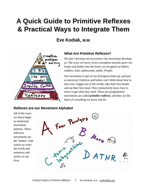 Integrating Primitive Reflexes Guide Pdf Fear Brain