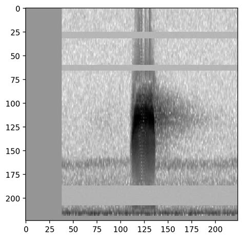 preprocess audio samples — opensoundscape 0 12 0 documentation