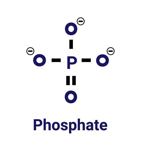 Phosphate Chemical Structure