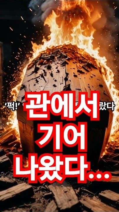 귀신 전설 관에서 기어나온건” 한국귀신 관속괴담 실화공포 무서운이야기 공포쇼츠 Youtube