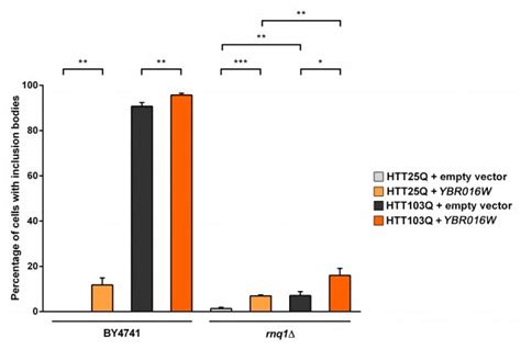 Aggregation Prone Proteins Modulate Huntingtin Inclusion Body Formation