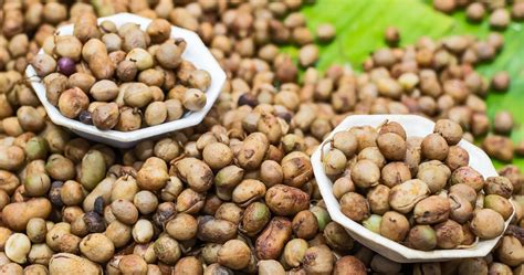 Bambara Groundnut Crop Wild Relatives