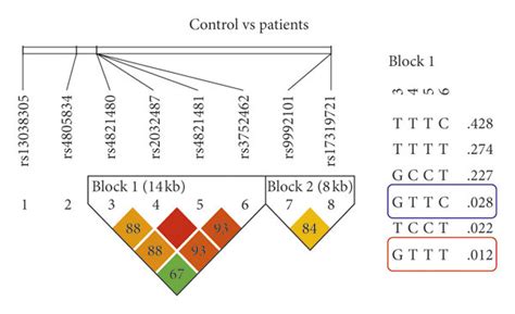 Linkage Disequilibrium Ld Analysis Ld Patterns Between The Two