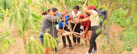 Sustainable Practices Drive Indigenous Agriculture In Brazil Revista