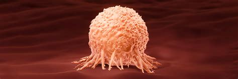 Exploring Current And Future Approaches For Targeting Kras Revvity