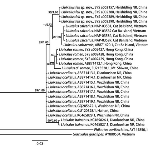 bayesian inference bi tree derived from partial dna sequences of the