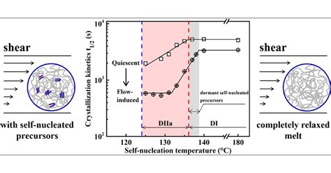 Flow Induced Crystallization Starting From Self Nucleated Precursors Macromolecules
