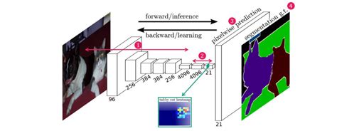 Segmentation Fcn Fully Convolutional Networks For Semantic Segmentation