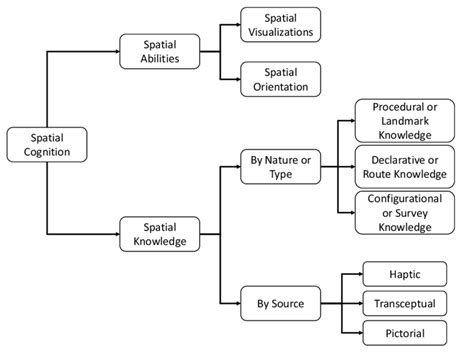 13 Components Of Spatial Cognition Adapted From Slijepcevic 2013 Download Scientific Diagram