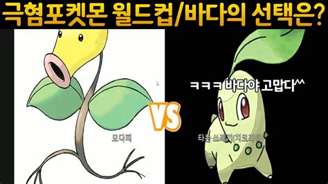 극혐 포켓몬월드컵 24년차 포켓몬유저의 선택은 Youtube