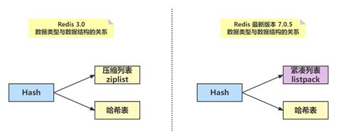 【redis】五大常见的数据类型之 Hashredis Hash 类型 Csdn博客