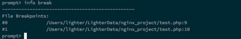 Php Debug Phpdbg