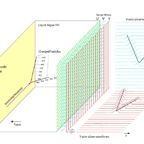 Diagram From 10 Illustrating The Signal Formation In A Lartpc With Download Scientific