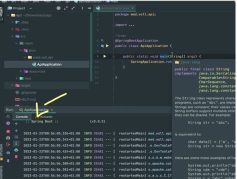 Duda Alguien Sabe Por Que No Me Sale La Consola Como Al Profe Spring Boot 3 Desarrollar Una