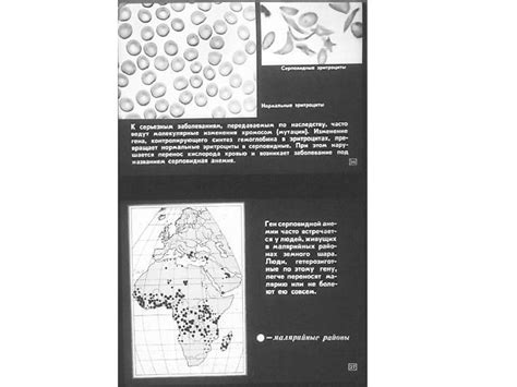 Наследственные заболевания презентация онлайн