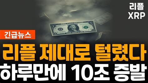 ※긴급속보※ 리플 Xrp 70억 달러 증발끝난 걸까 Youtube