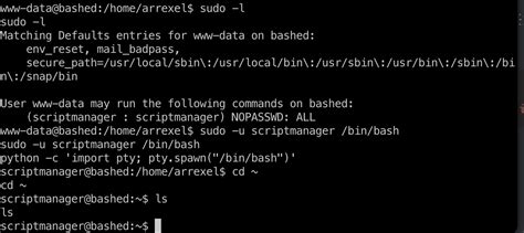 bashed hackthebox 喵喵喵喵 愚かな人間