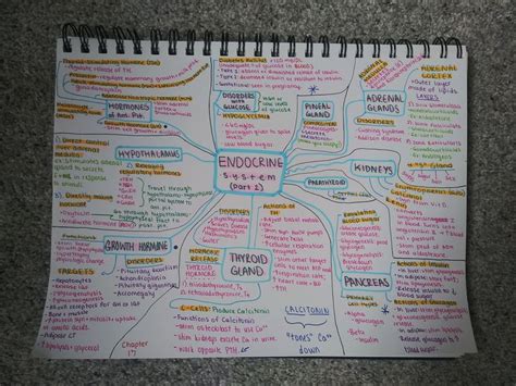 Endocrine Concept Map Concept Map Endocrine System Nursing Study Guide