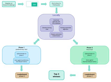 💡 how to participate light my cells bright field to fluorescence
