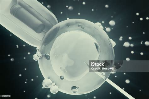 인공 수정 또는 시험관 수정 계란 세포 Ovum 또는 Zygote 개념 과학 실험의 3d 그림 0명에 대한 스톡 벡터 아트 및 기타 이미지 Istock