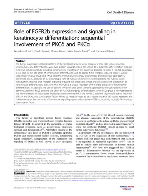 Pdf Role Of Fgfr2b Expression And Signaling In Keratinocyte
