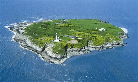 Flat Holm Wikipedia