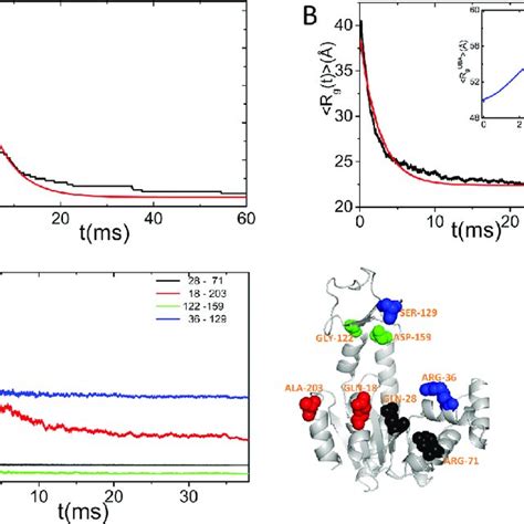 Folding And Collapse Kinetics A Fraction Of Unfolded Adk Molecules