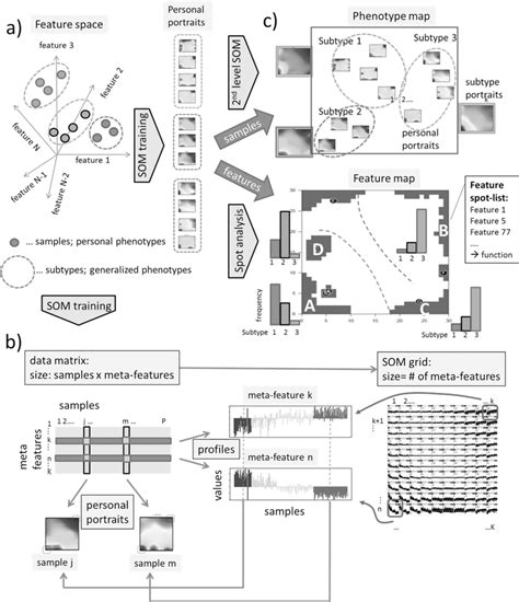 som machine learning of patient related big data a each sample