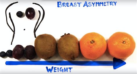 The Science Of Boobs By Asapscience Tells You What You Need To Know About Your Breasts In
