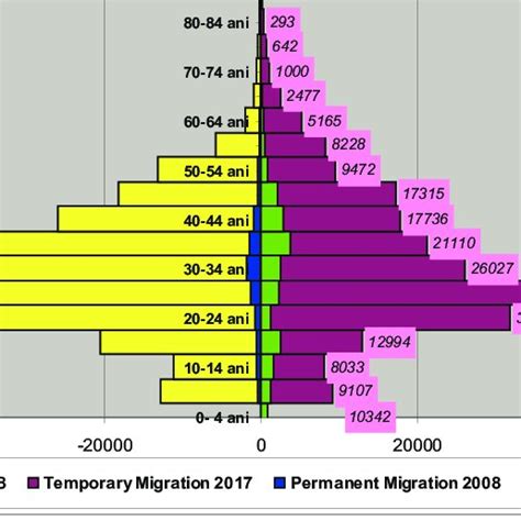 Pyramid Of External Migration 2008 Vs 2017 Download Scientific Diagram