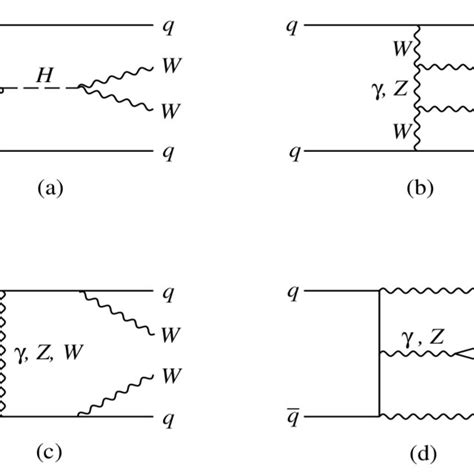Feynman Diagrams For The Electroweak Processes Qq → Qqw W − Download Scientific Diagram