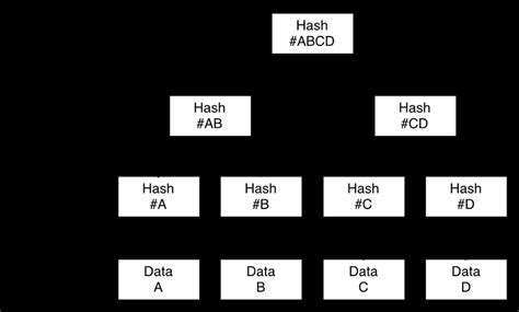 Trees Ensure Integrity By Hashing Data And Then Hashing The Hashes