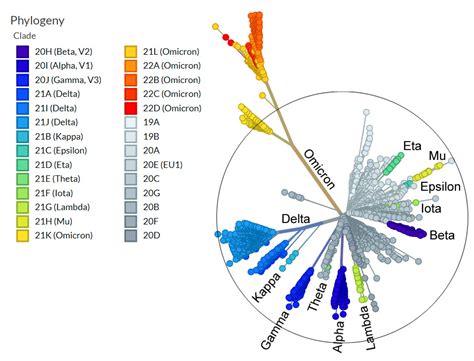 The Difference In Wave Dynamics Between Sars Cov 2 Pre Omicron And Omicron Variant Waves