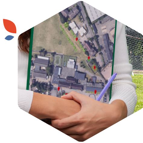 School Tree Planting Programme Climate Education