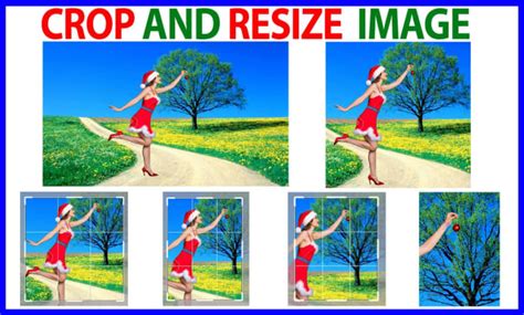 Do Resize Crop Images For Your Ecommerce In Short Time By Kibrul Fiverr