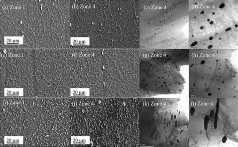 Sem And Tem Images Showing The Particle Dispersion In Zone 1 And 4 Of