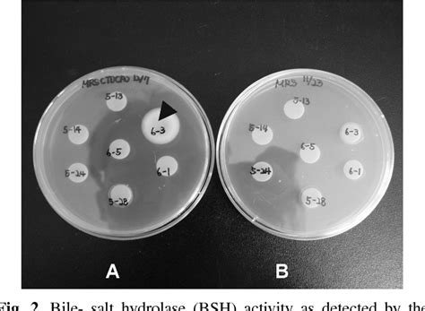 Figure 1 From Isolation Of Cholesterol Lowering Lactic Acid Bacteria