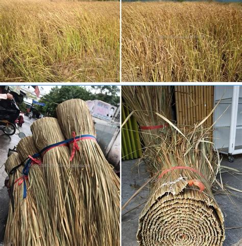 Factory Thatch Grass Tile Roof Dry Palm Synthetic Artificial Leaf