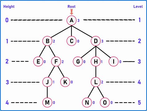 Introduction To Tree Data Structure Dot Net Tutorials