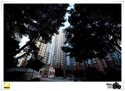 새로 이사한 아파트