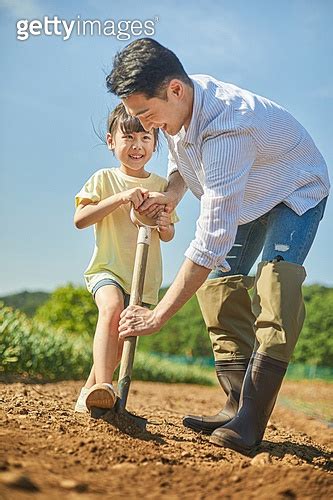 농장 소녀 여성 유치원생 유아교육 채소밭 경작지 여름방학 라이프스타일 공동체밭 견학 사건 심기