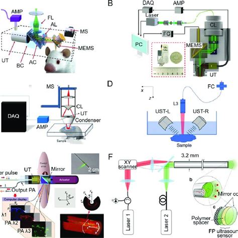 Pdf High Resolution Photoacoustic Tomography For Early Stage Cancer Detection And Its Clinical
