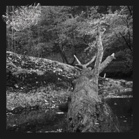 Reisselpud The Greenway Trail Patchstorage