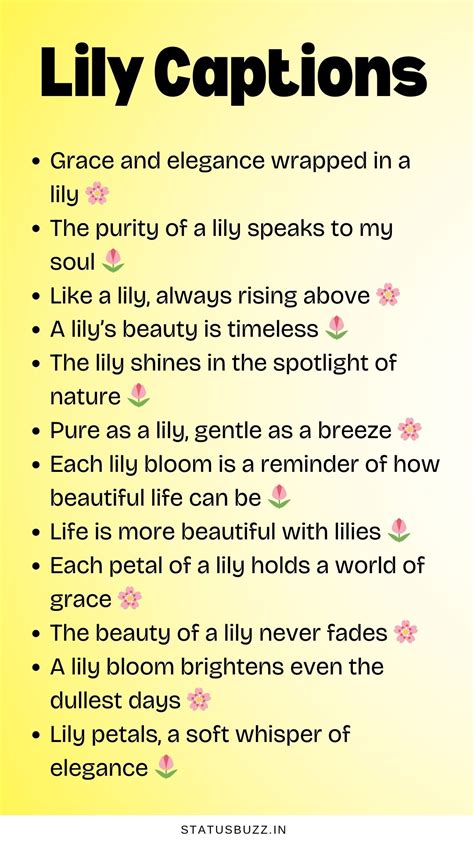 130 Lily Captions And Quotes For Instagram Statusbuzz
