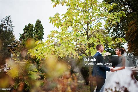 잘생긴 새로 결혼된 커플 산책 하 고 밝고 맑은 결혼 날에 공원에서 서로 회사를 즐기고 2명에 대한 스톡 사진 및 기타 이미지 2명 감정 결혼식 Istock