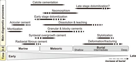 Paragenetic Sequence Of The Oolitic Limestone In The Miaolingian Download Scientific Diagram