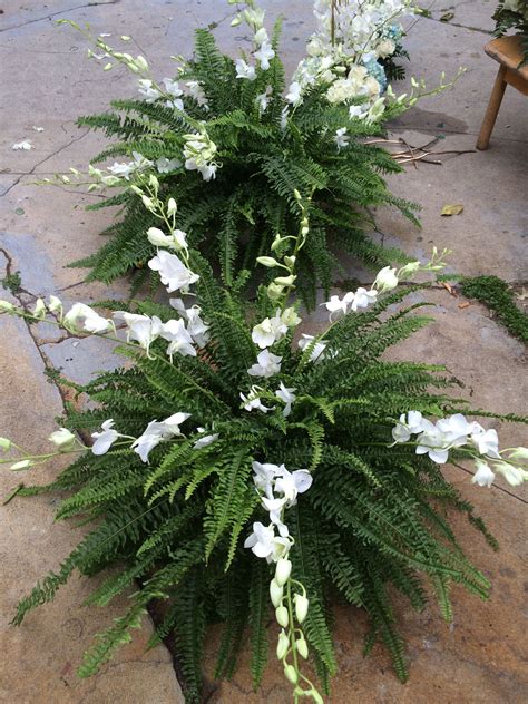 Ferns Arragement Fern Wedding Decor Fern Wedding Fern Centerpiece